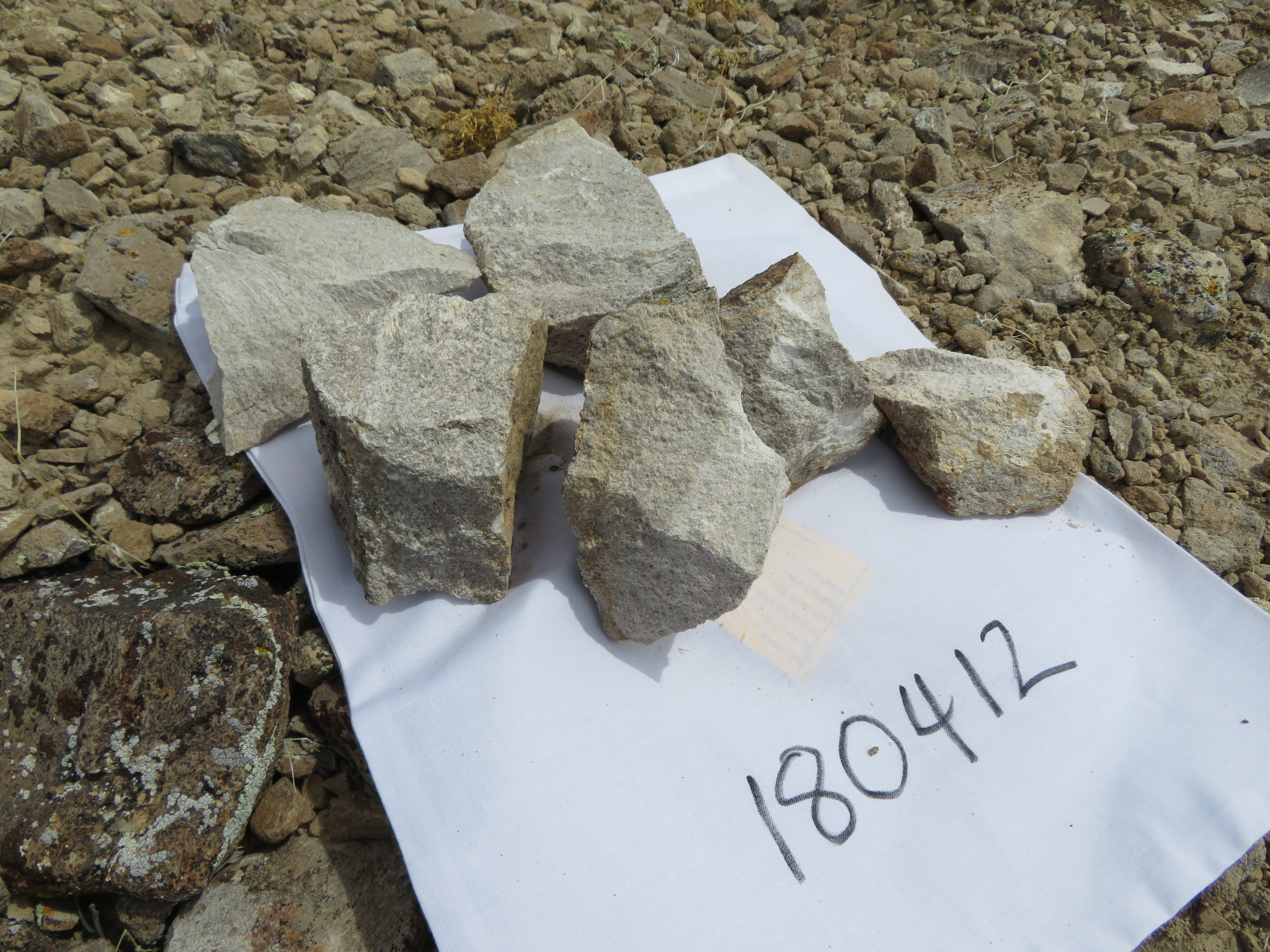 Jackson Wash Project, Nevada